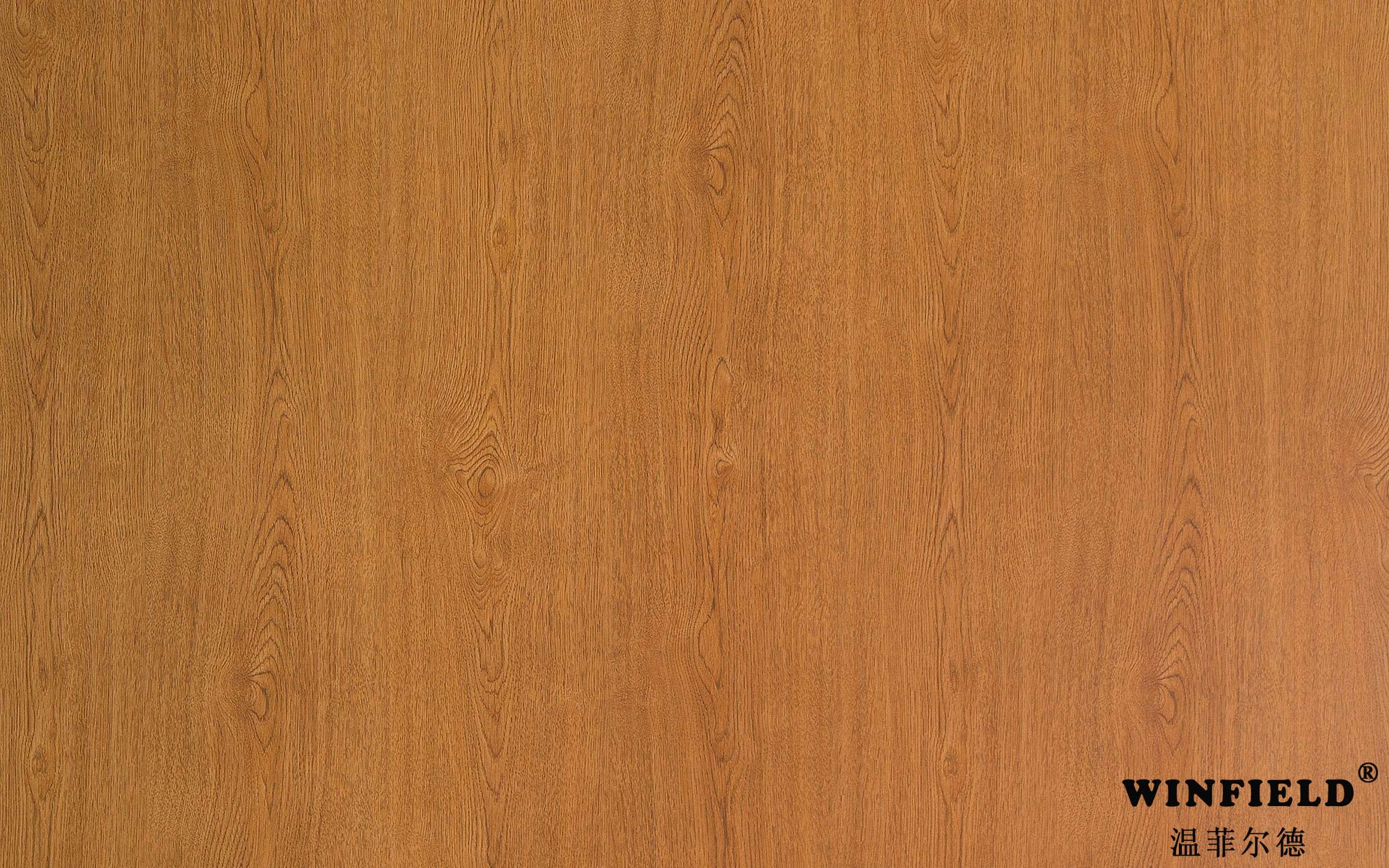 57816 日光橡木 Solar Oak - 温菲尔德-空间饰材-High Pressure Laminate - WINFIELD