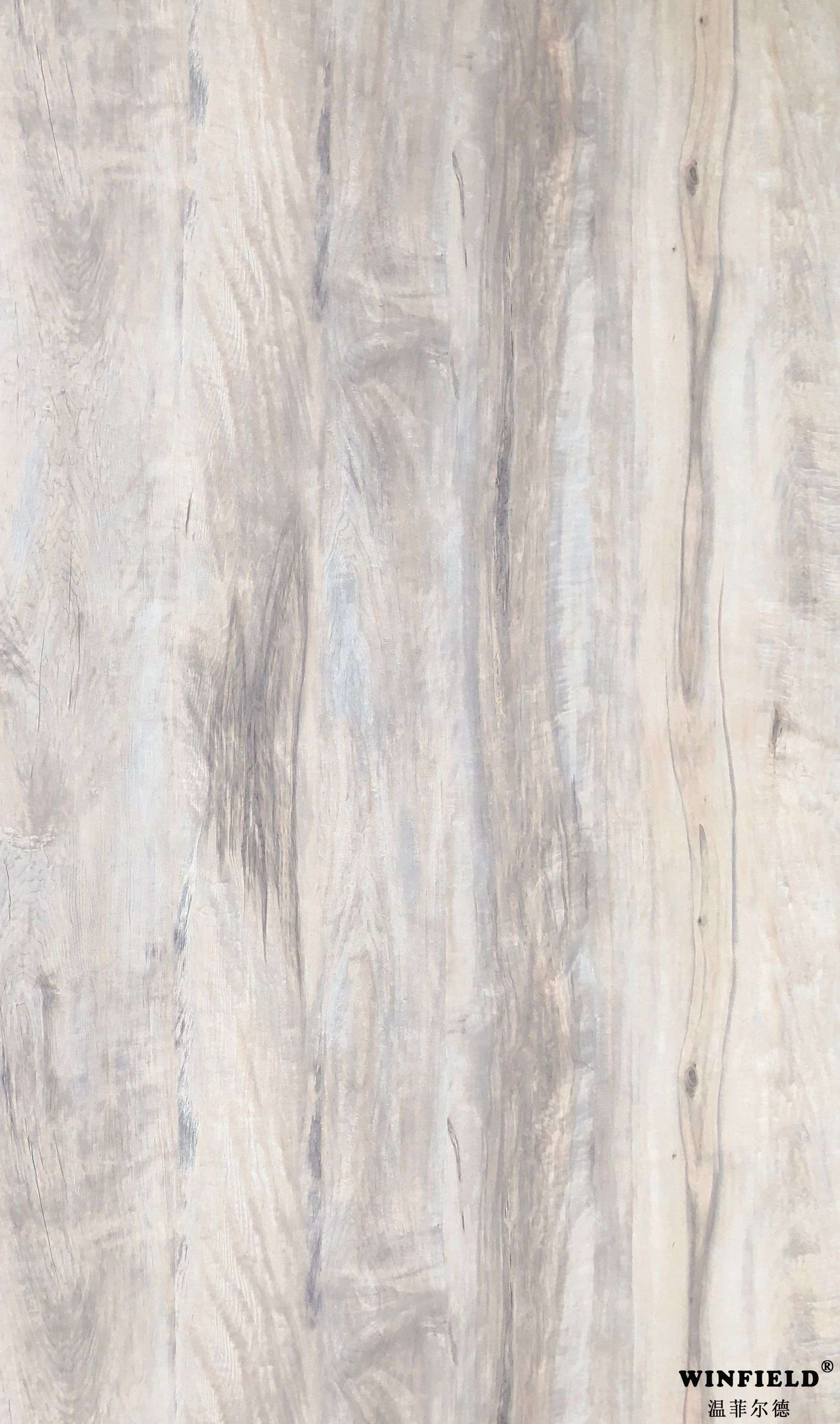 27672 苍枫 Pale Maple - 温菲尔德集团