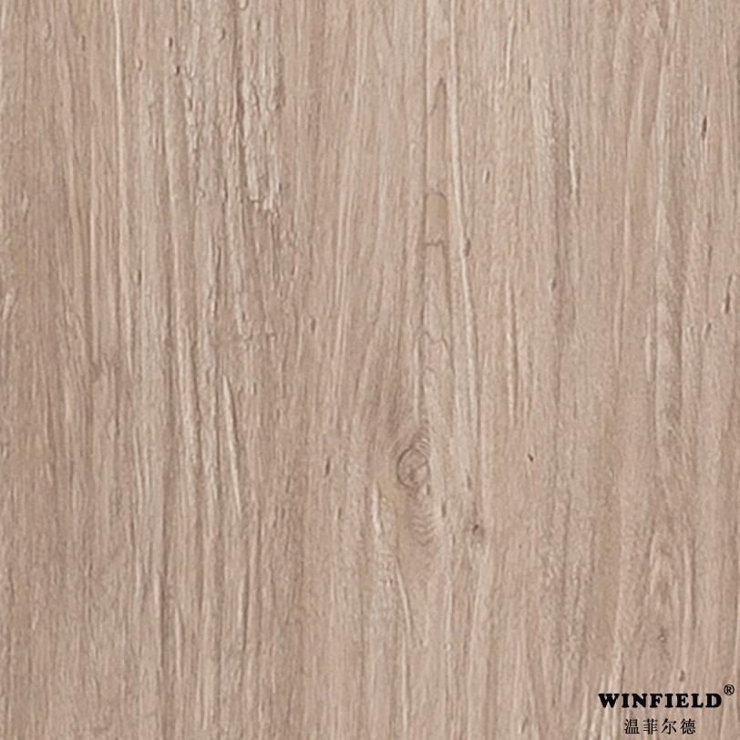 5S169 古罗马橡木 Old Roman Oak - 温菲尔德集团