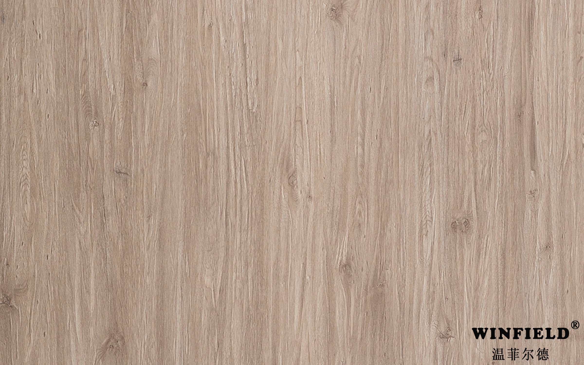 5S169 古罗马橡木 Old Roman Oak - 温菲尔德集团