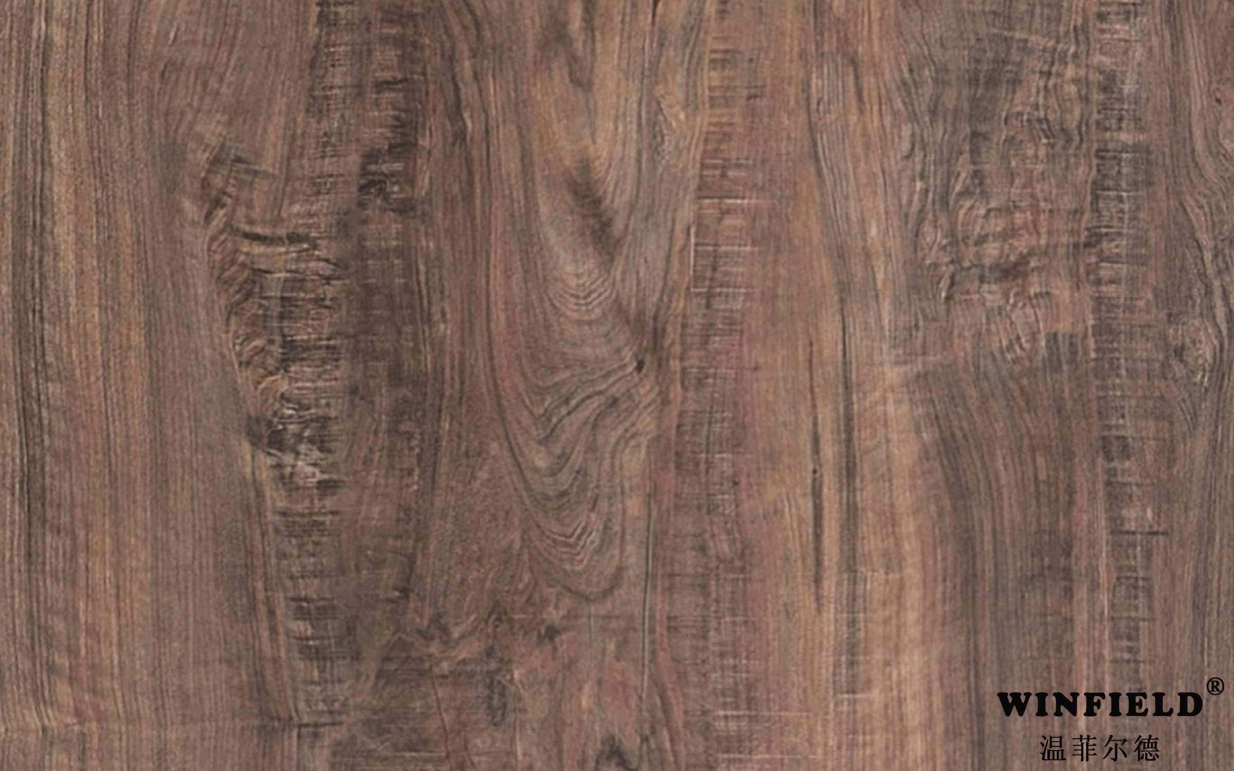 5s164 海岸橄榄木 Coastal Olive - 温菲尔德-空间饰材-High Pressure Laminate - WINFIELD